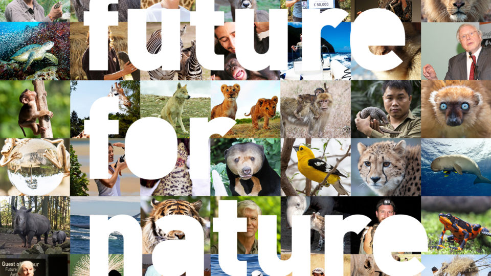 Future For Nature Looks Back on 2019! - Future For Nature