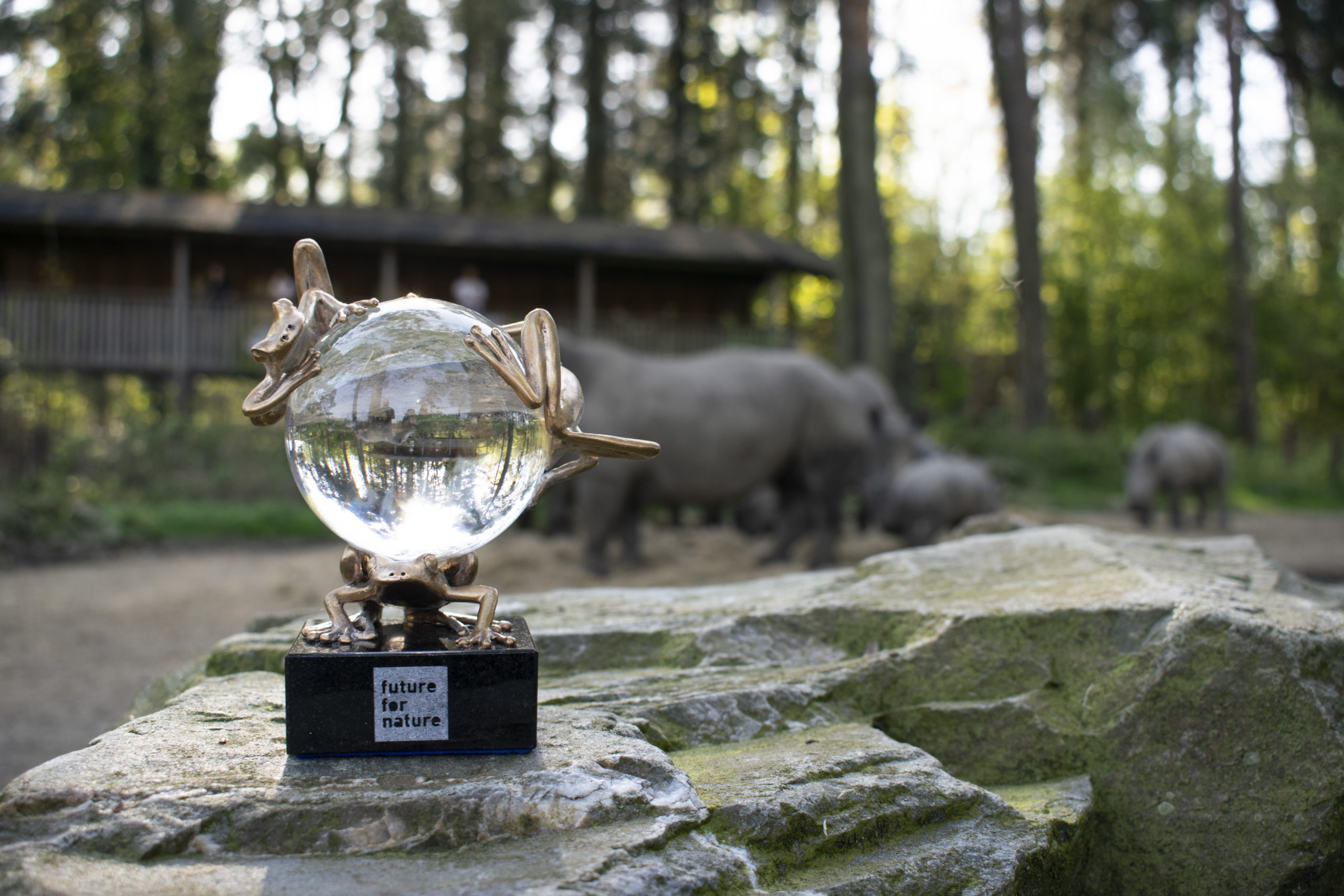 Supporting young nature conservationists worldwide - Future For Nature