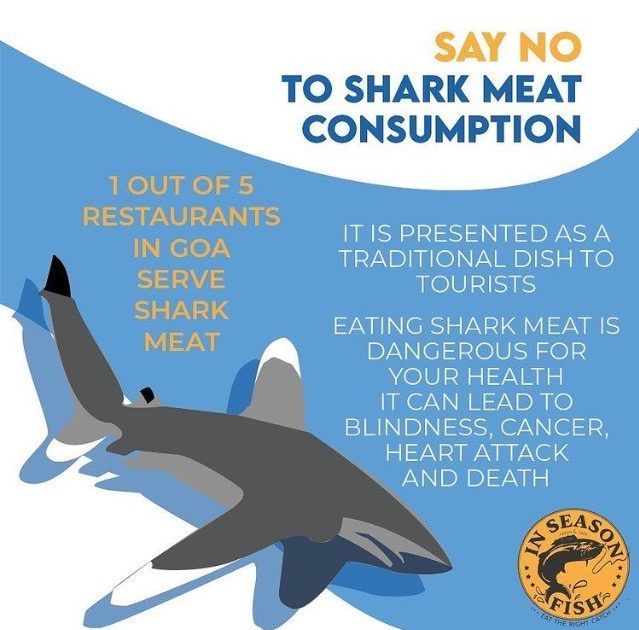 Changing opinions about sharks – with a new campaign and position ...