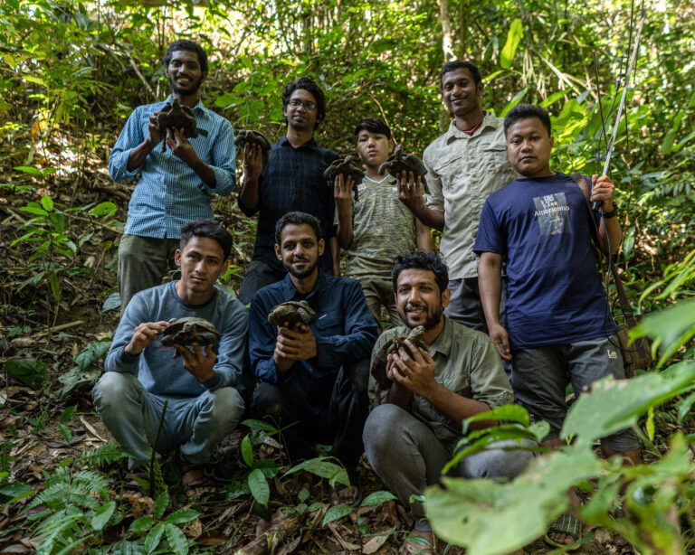 First Ever Reintroduction of the Asian Giant Tortoise in Bangladesh: a ...