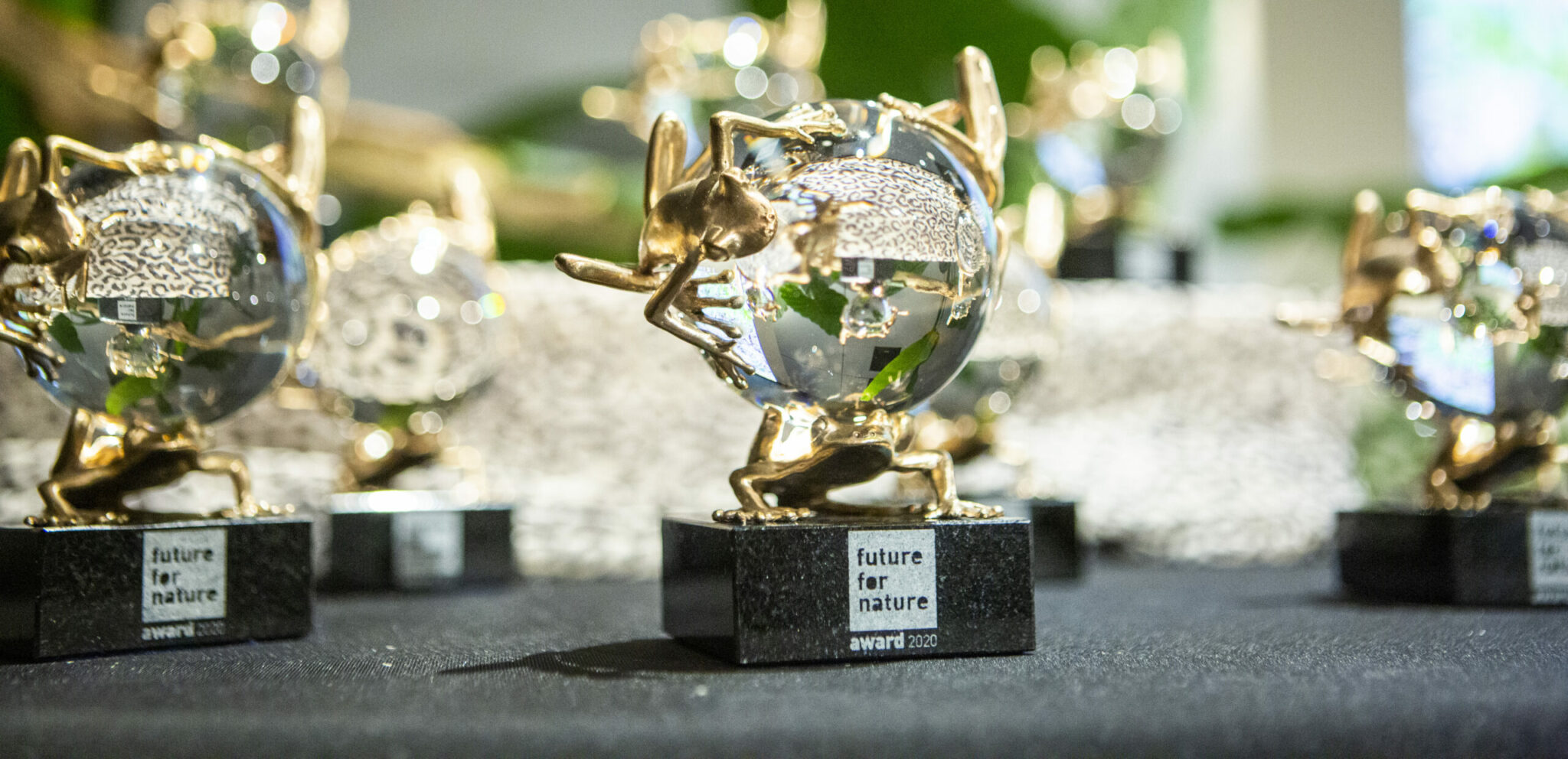 The 2022 Future For Nature Award Event - 15th Anniversary Edition ...