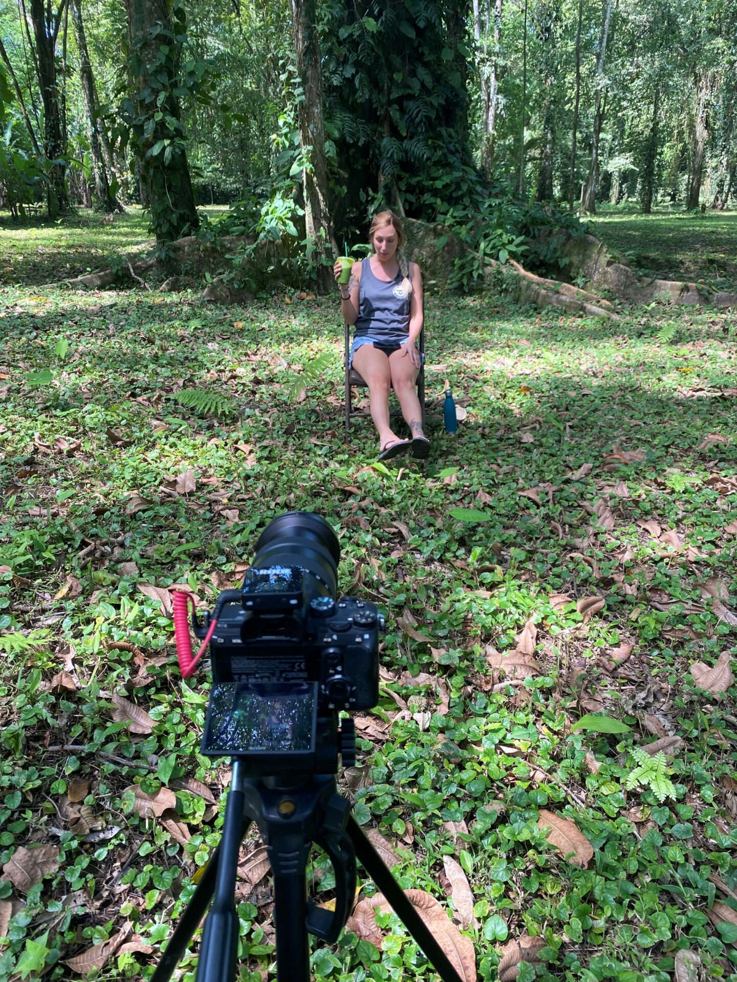 A look inside the sloth life - Future For Nature