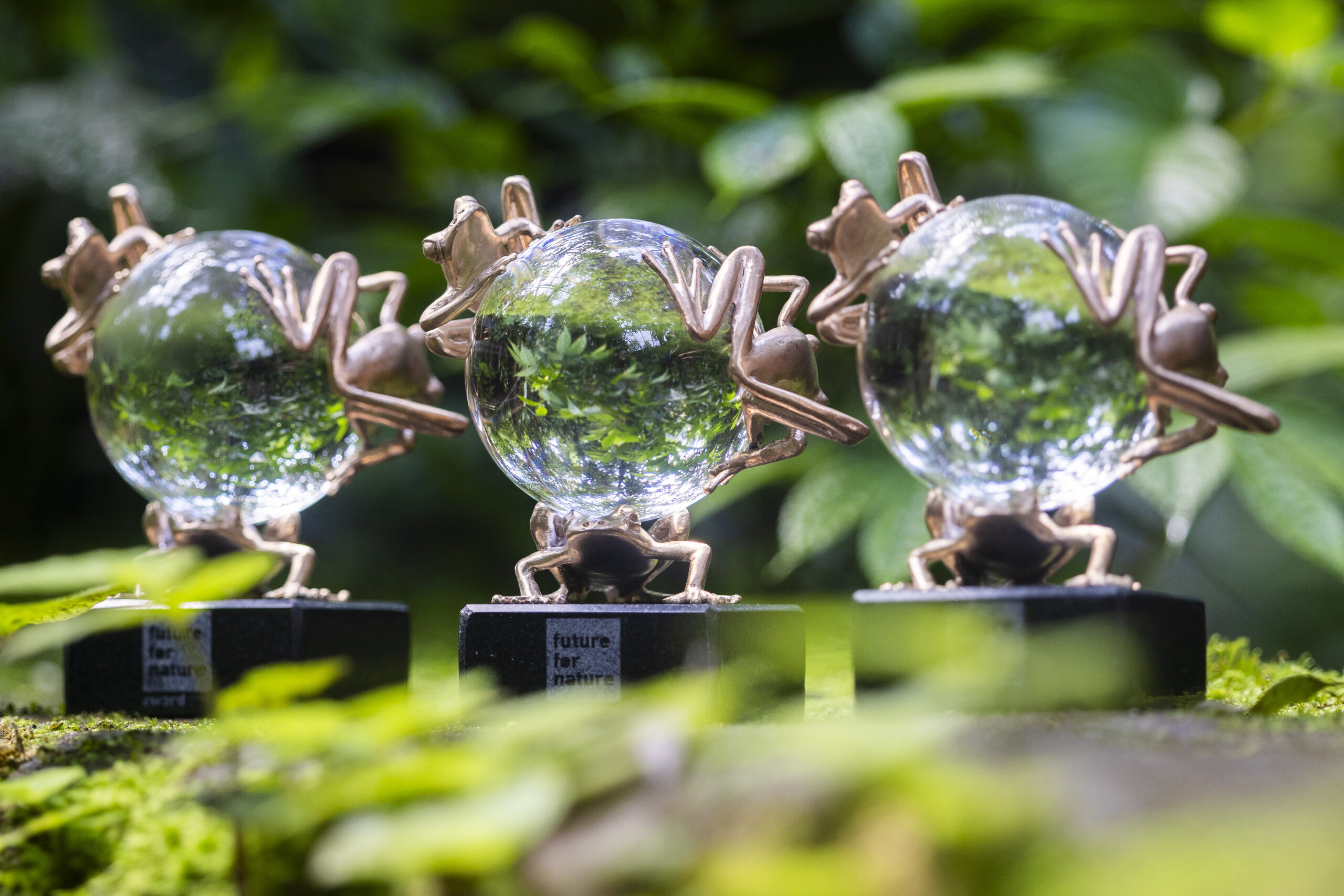 2026 Future For Nature Award Application - Future For Nature